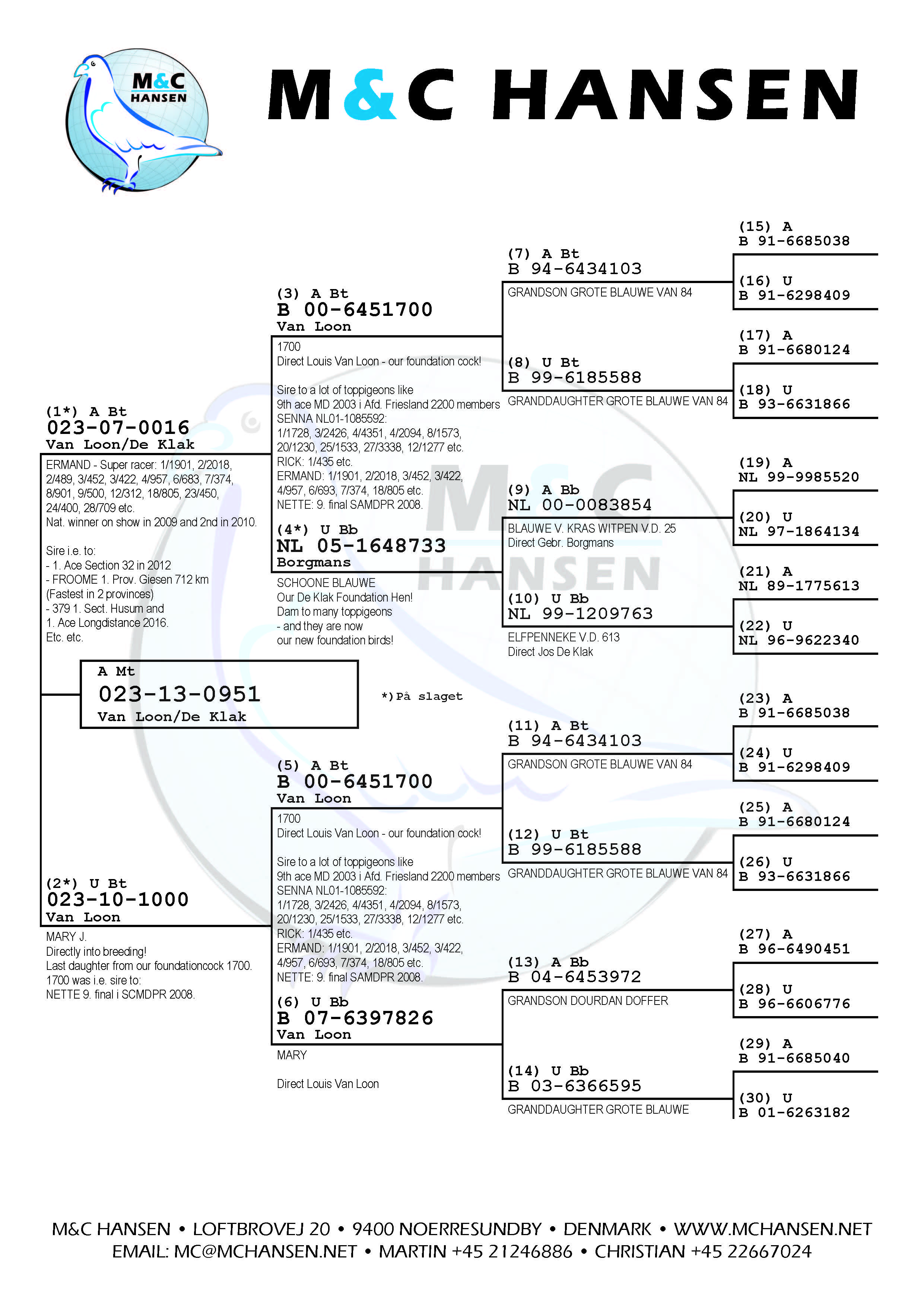 M&C Hansen - Racing Pigeons Online